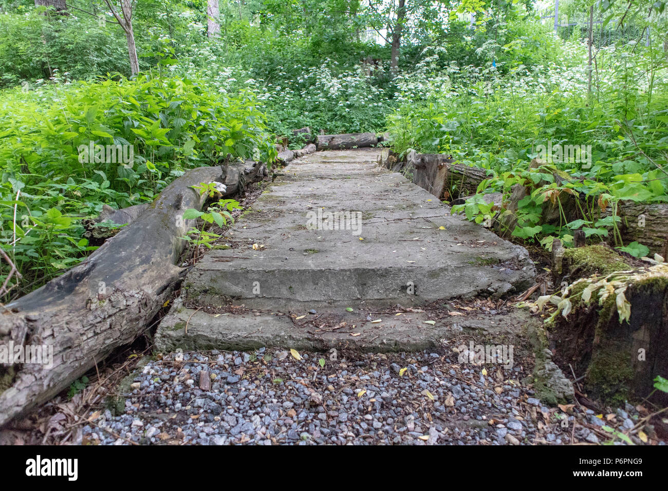 Abstract image texture for designers with cement road pavement in ...