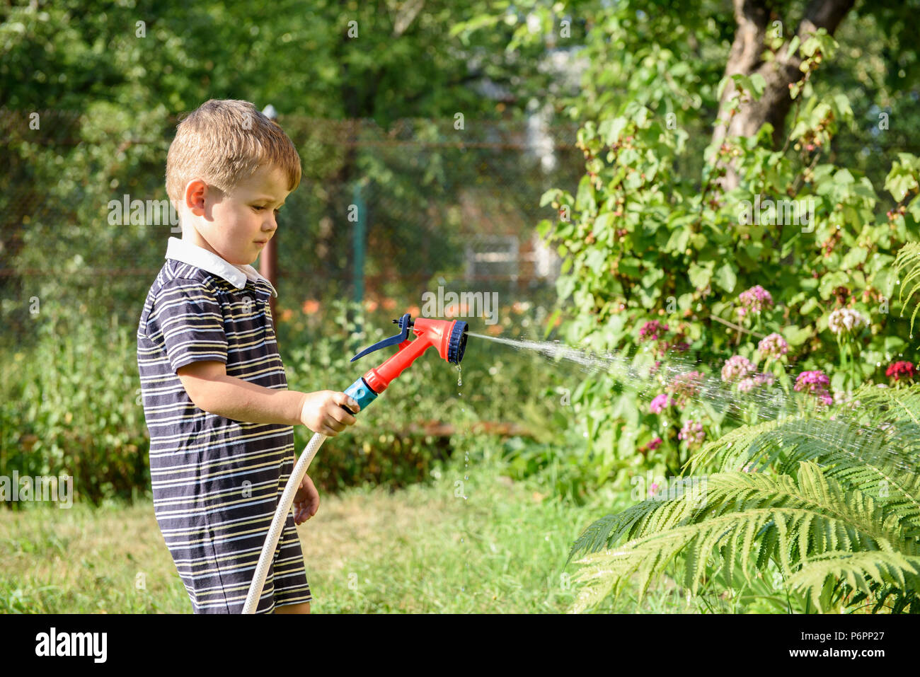Cute little boy watering the garden with hose Stock Photo - Alamy