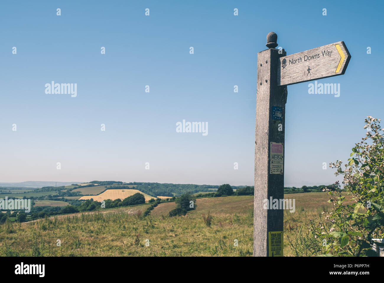 North downs way walk hi-res stock photography and images - Alamy