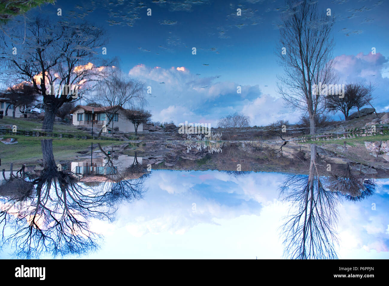 Upside down trees hi-res stock photography and images - Alamy