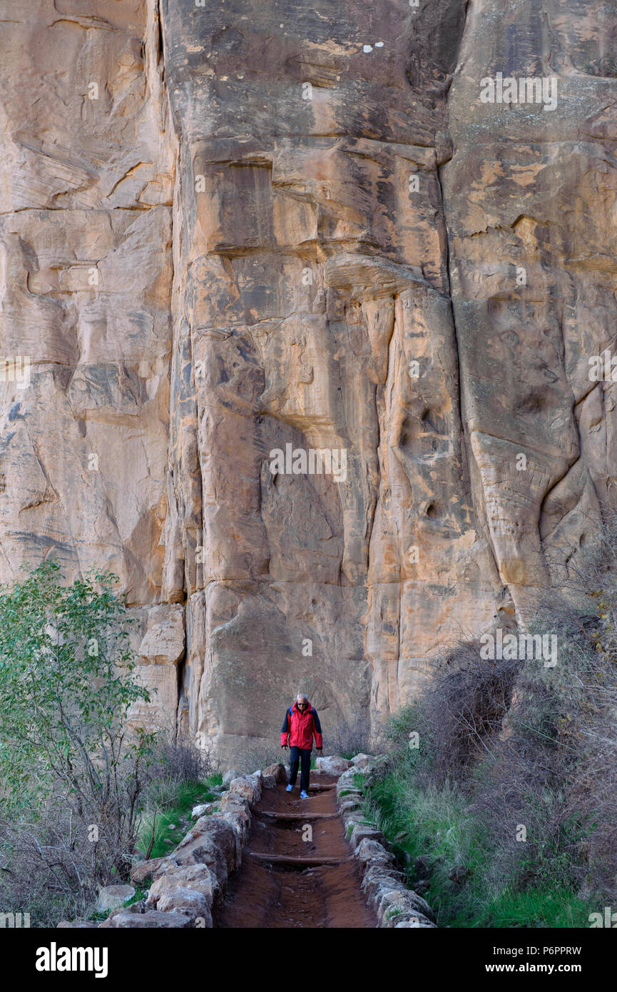 Hiker descending into the Grand Canyon from the south rim on Bright ...
