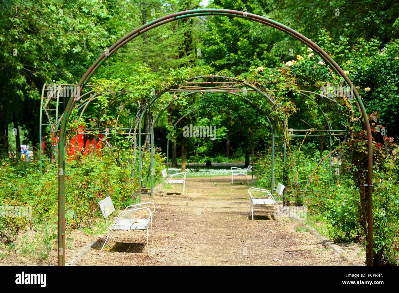 Garden arch bench hi-res stock photography and images - Alamy