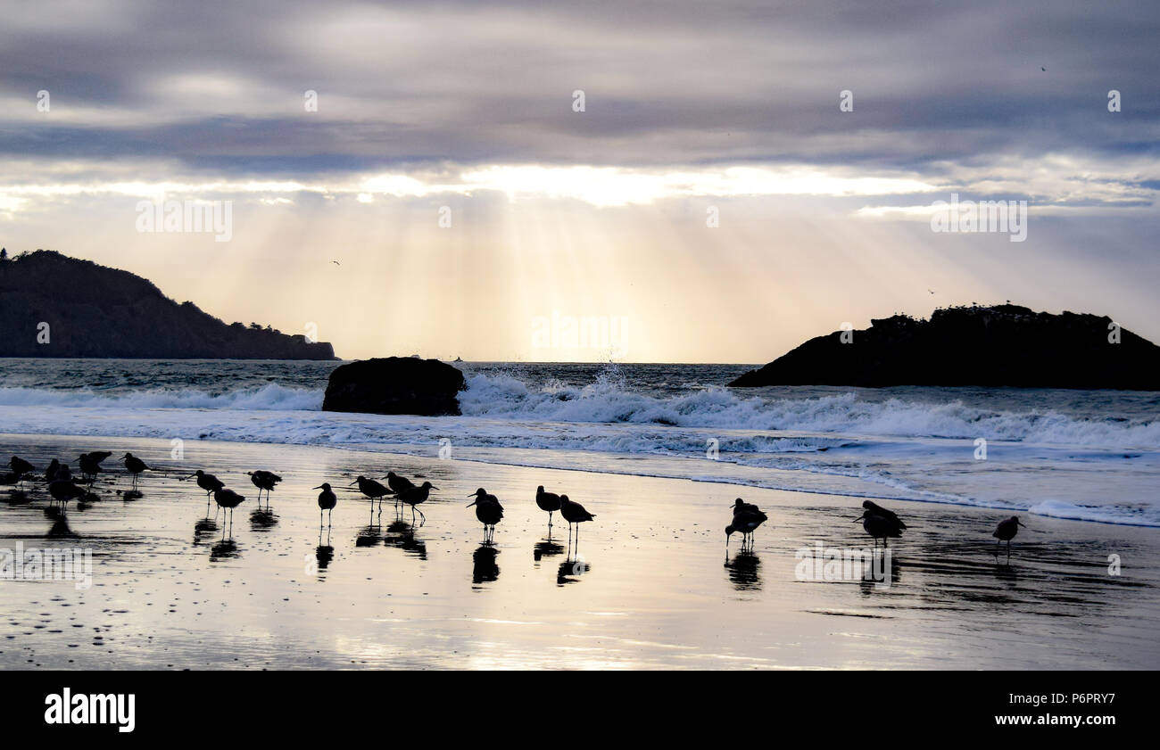 Beautiful sunset on beach rocky hi-res stock photography and images - Alamy