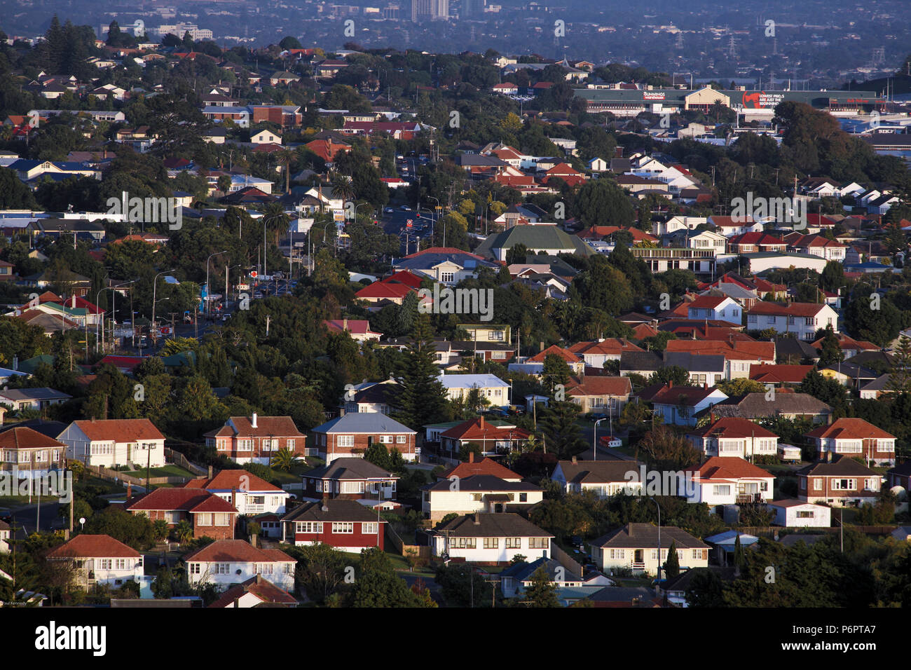 Residential homes in Auckland, New Zealand Stock Photo - Alamy