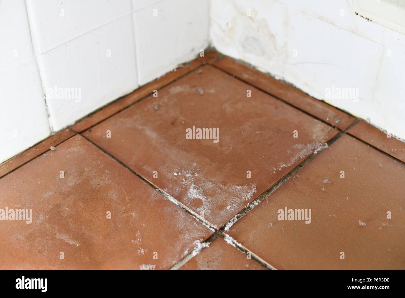 Wter city hi-res stock photography and images - Alamy