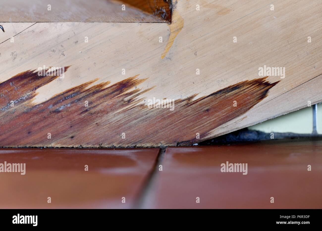 Wter damage in a house, Germany, city of Osterode, 25.June 2018. Photo ...