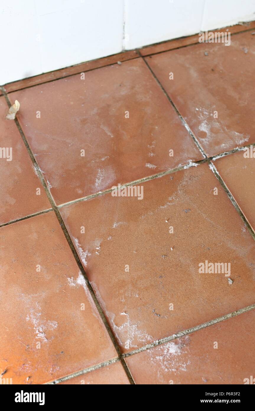 Wter damage in a house, Germany, city of Osterode, 25.June 2018. Photo ...