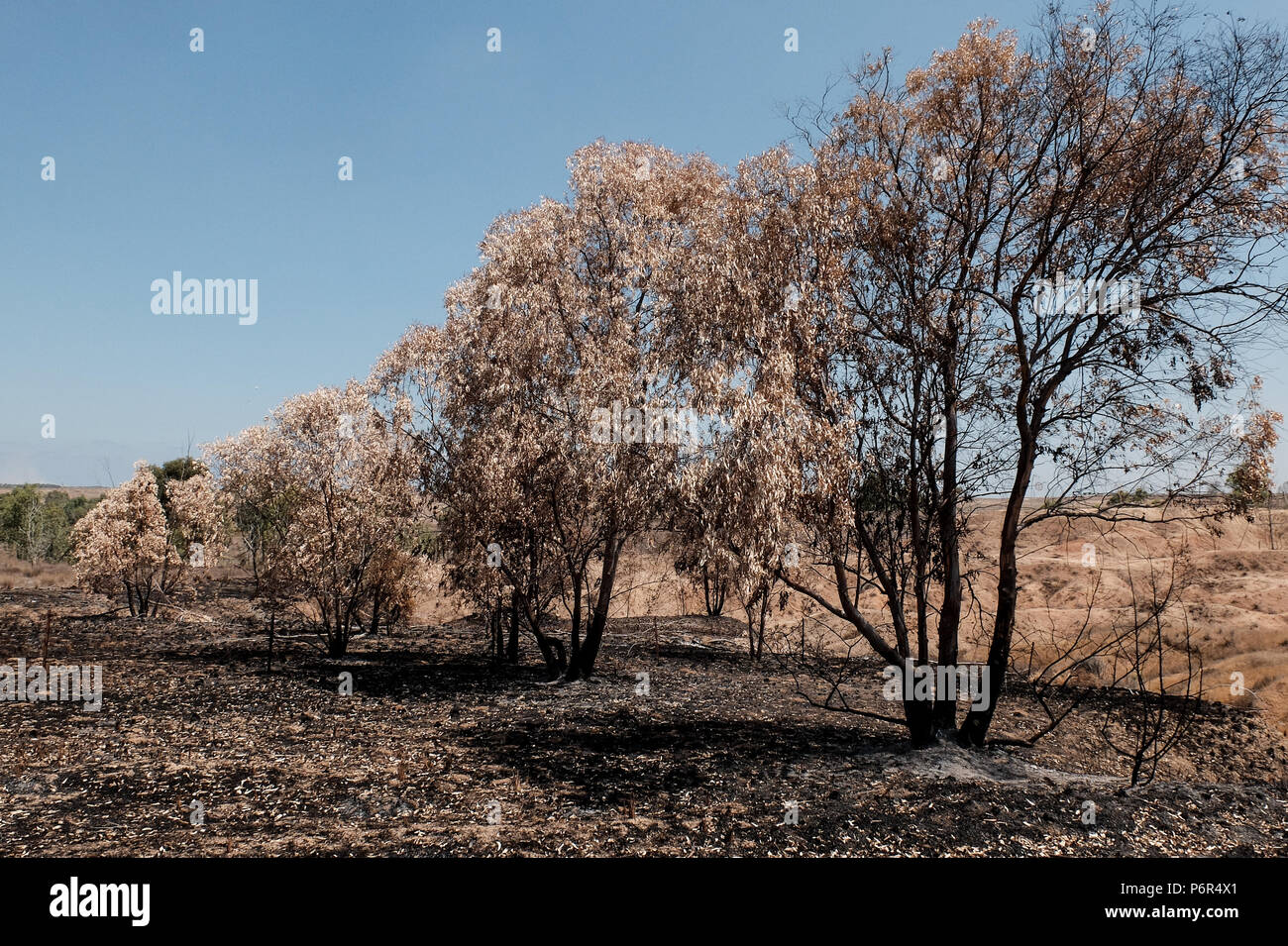 Kibbutz beeri hi-res stock photography and images - Alamy