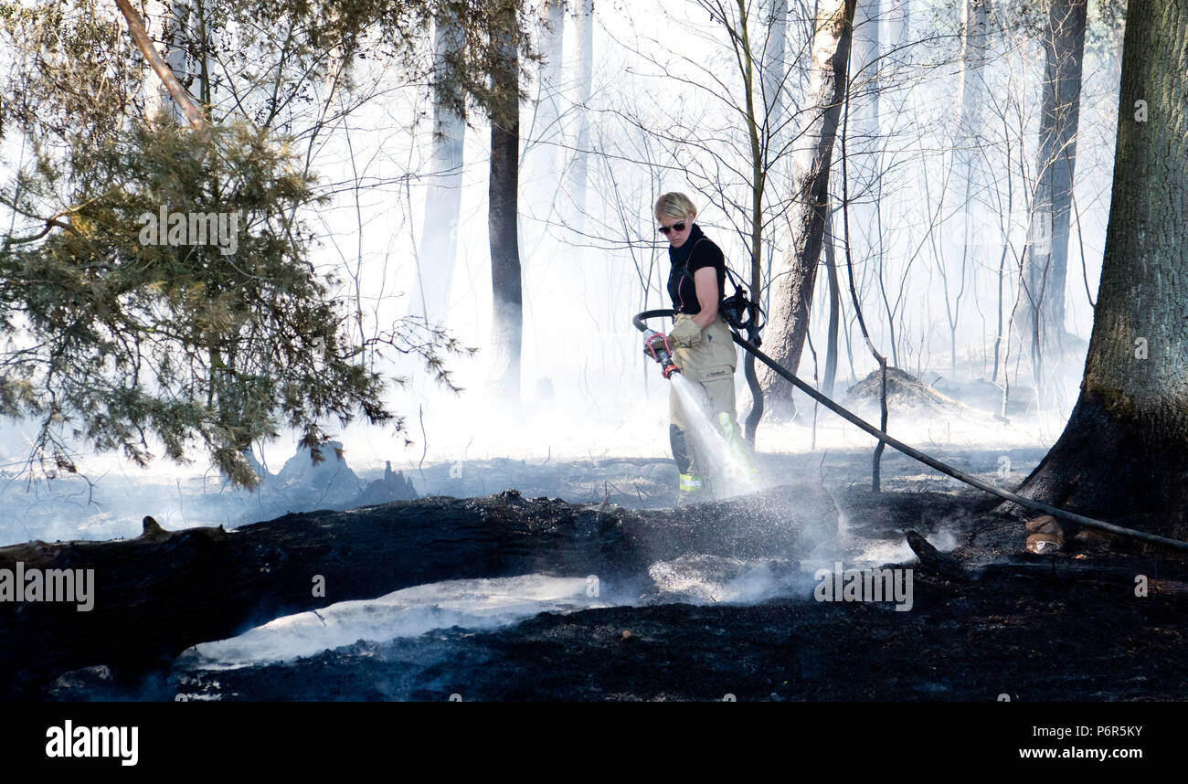 Wiechendorf, Germany. 02nd July, 2018. A firewoman putting out a forest ...