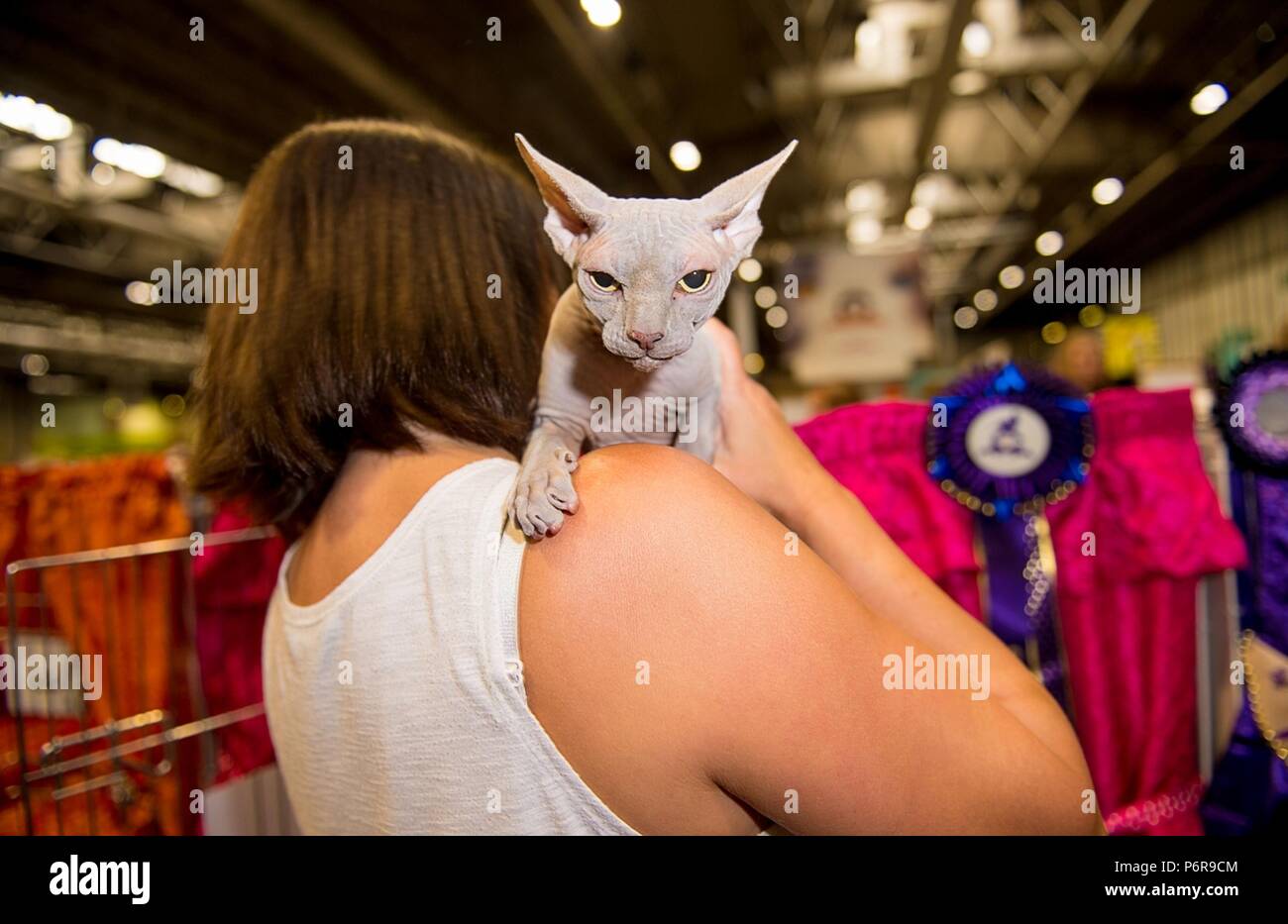 Birmingham ,Birmingham /England -circa 2018: NEC Birmingham Cat show ...
