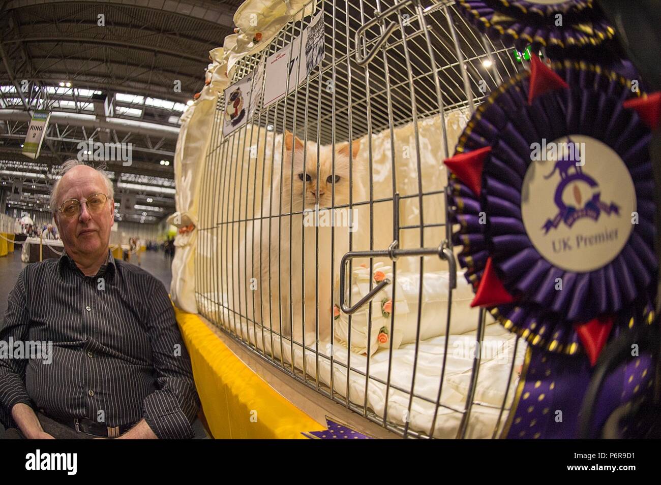 Birmingham ,Birmingham /England -circa 2018: NEC Birmingham Cat show ...