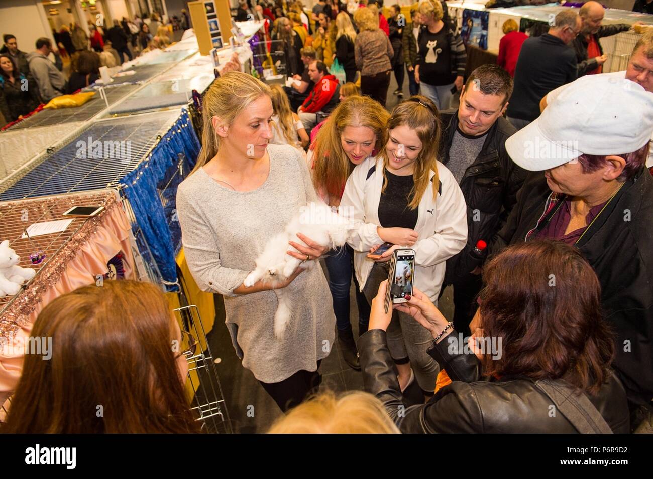 Birmingham ,Birmingham /England -circa 2018: NEC Birmingham Cat show ...