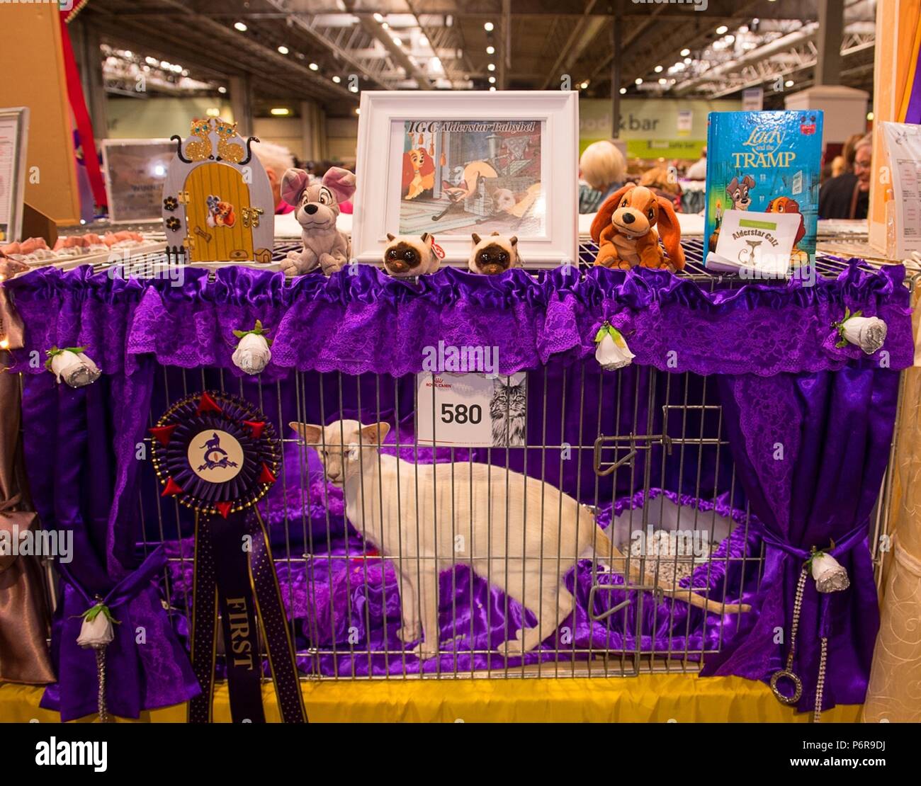 Birmingham ,Birmingham /England -circa 2018: NEC Birmingham Cat show ...