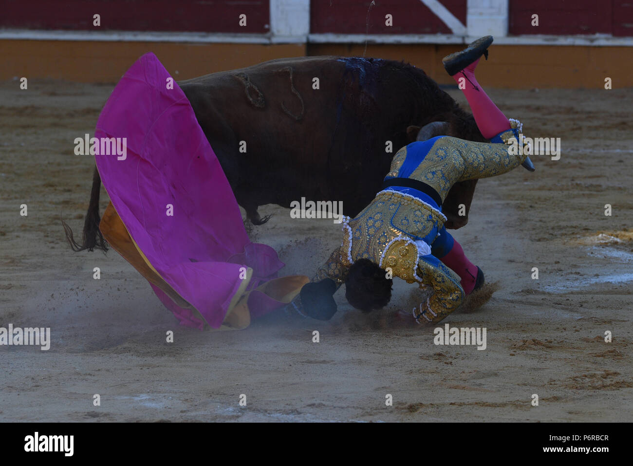 Soria, Spain. 01st July, 2018. Spanish bullfighter Román Collado is ...