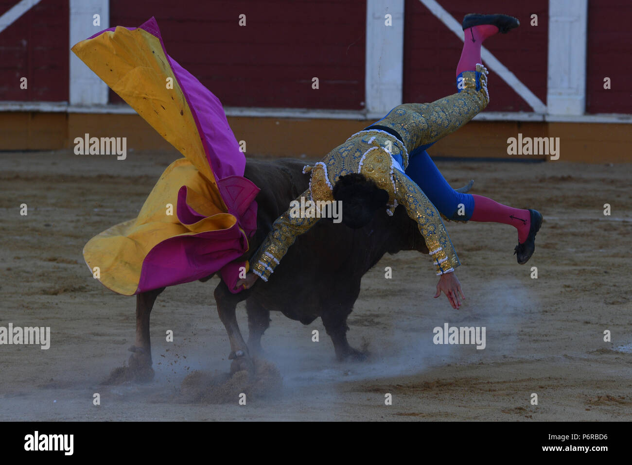 Soria, Spain. 01st July, 2018. Spanish bullfighter Román Collado is ...