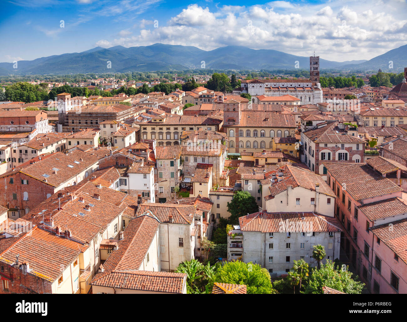 Aerial view of Lucca old town with mediterranean terracotta roof ...