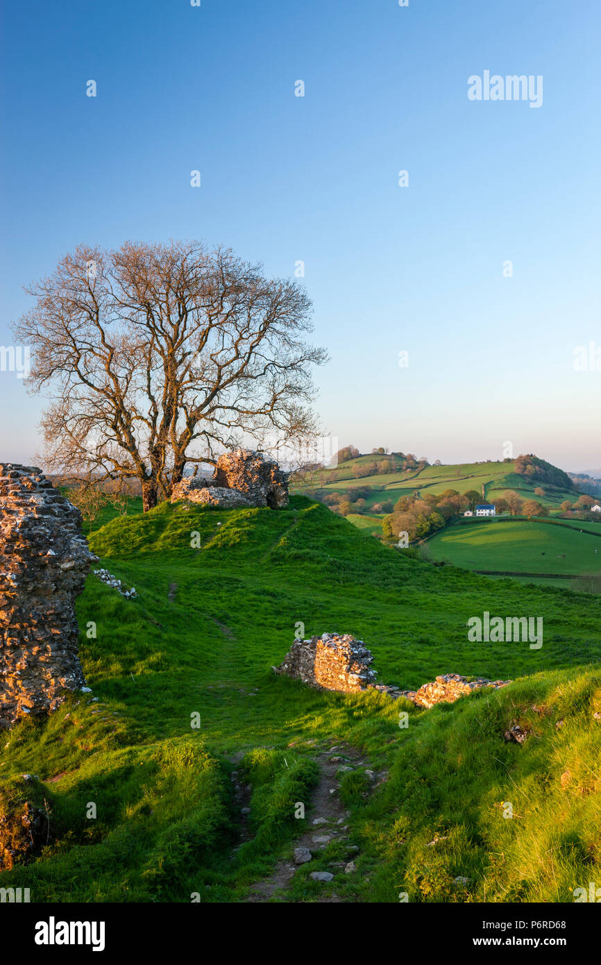 Towy valley hi-res stock photography and images - Alamy