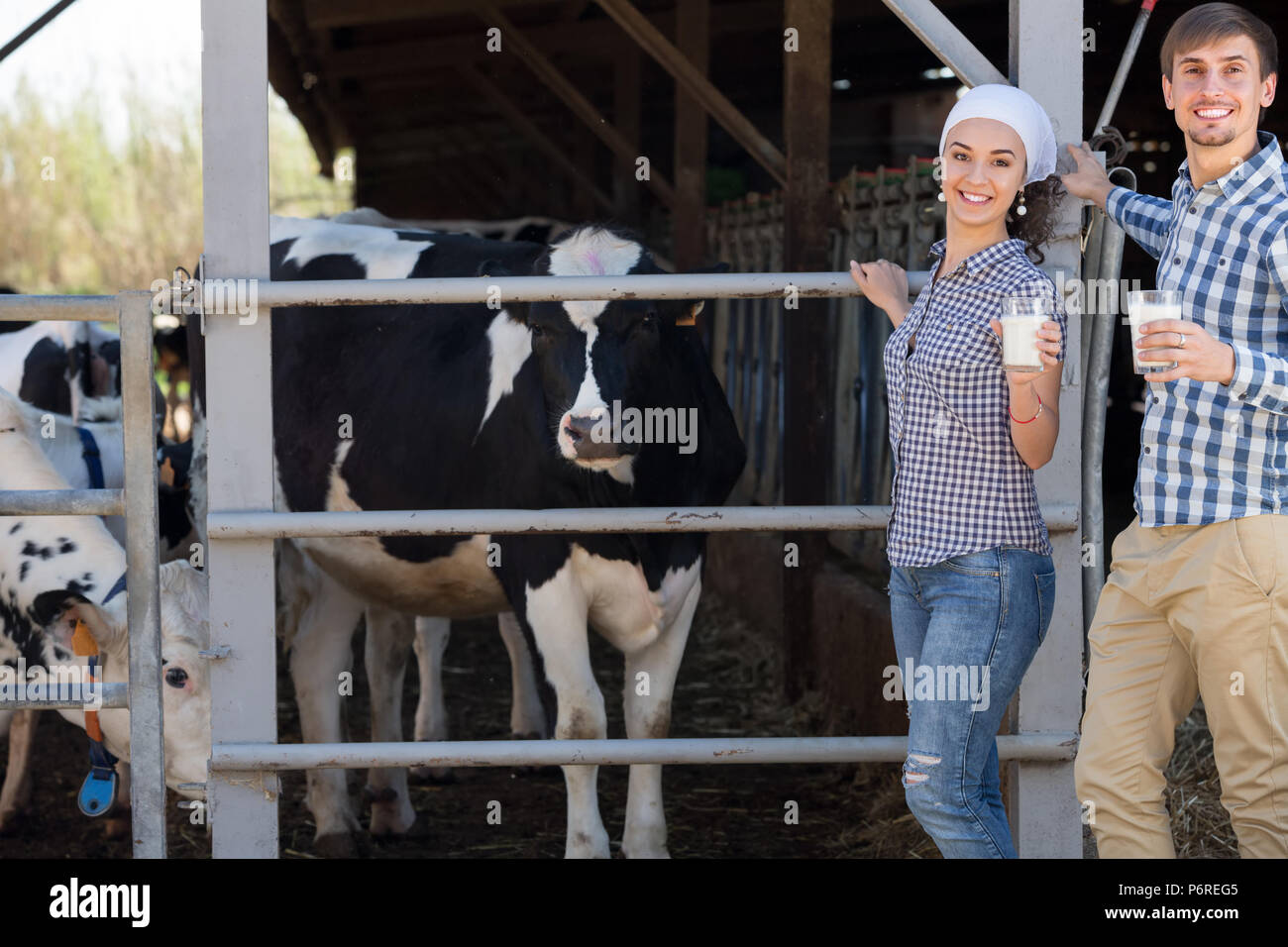Young happy man and woman farmers standing with in the cow hangar and ...