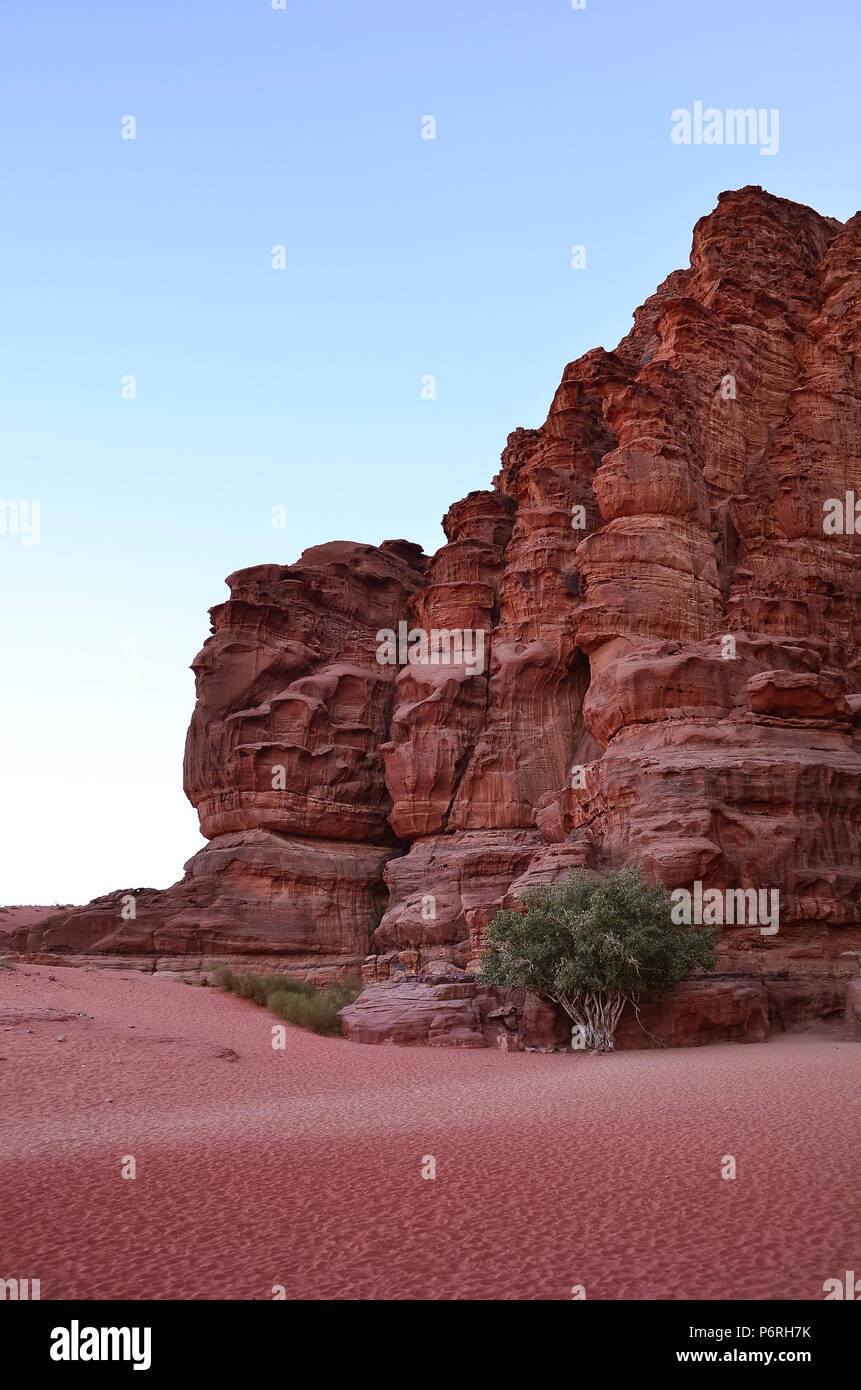 Red sand desert. Inspire the nature of the beauty scenery in desert ...