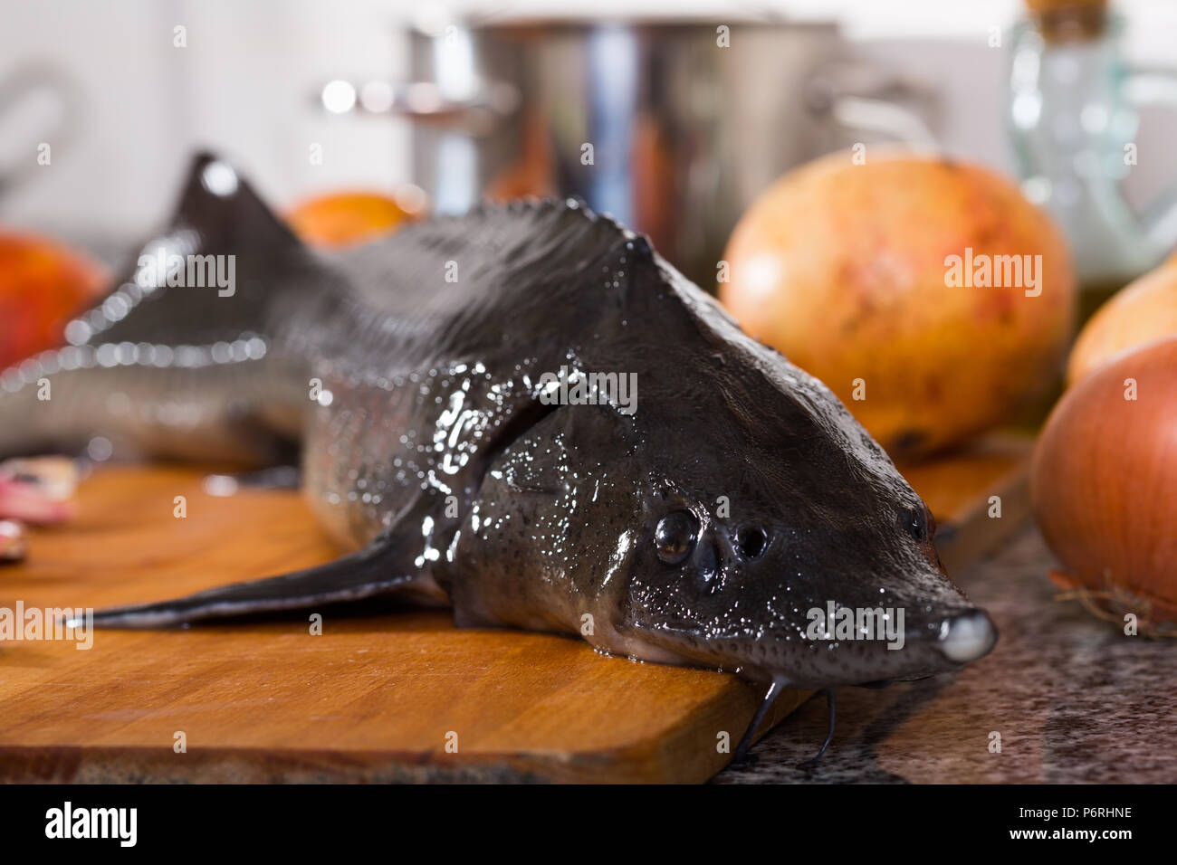 Picture of raw fish sturgeon at plate before preparing laying on table ...