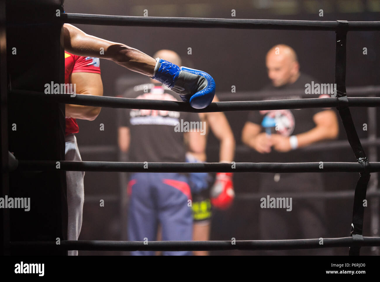 MMA Boxers fighters fight in fights without rules in the ring Stock ...