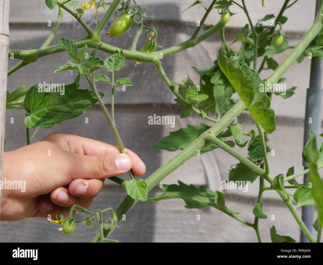 Pinching hand hi-res stock photography and images - Alamy
