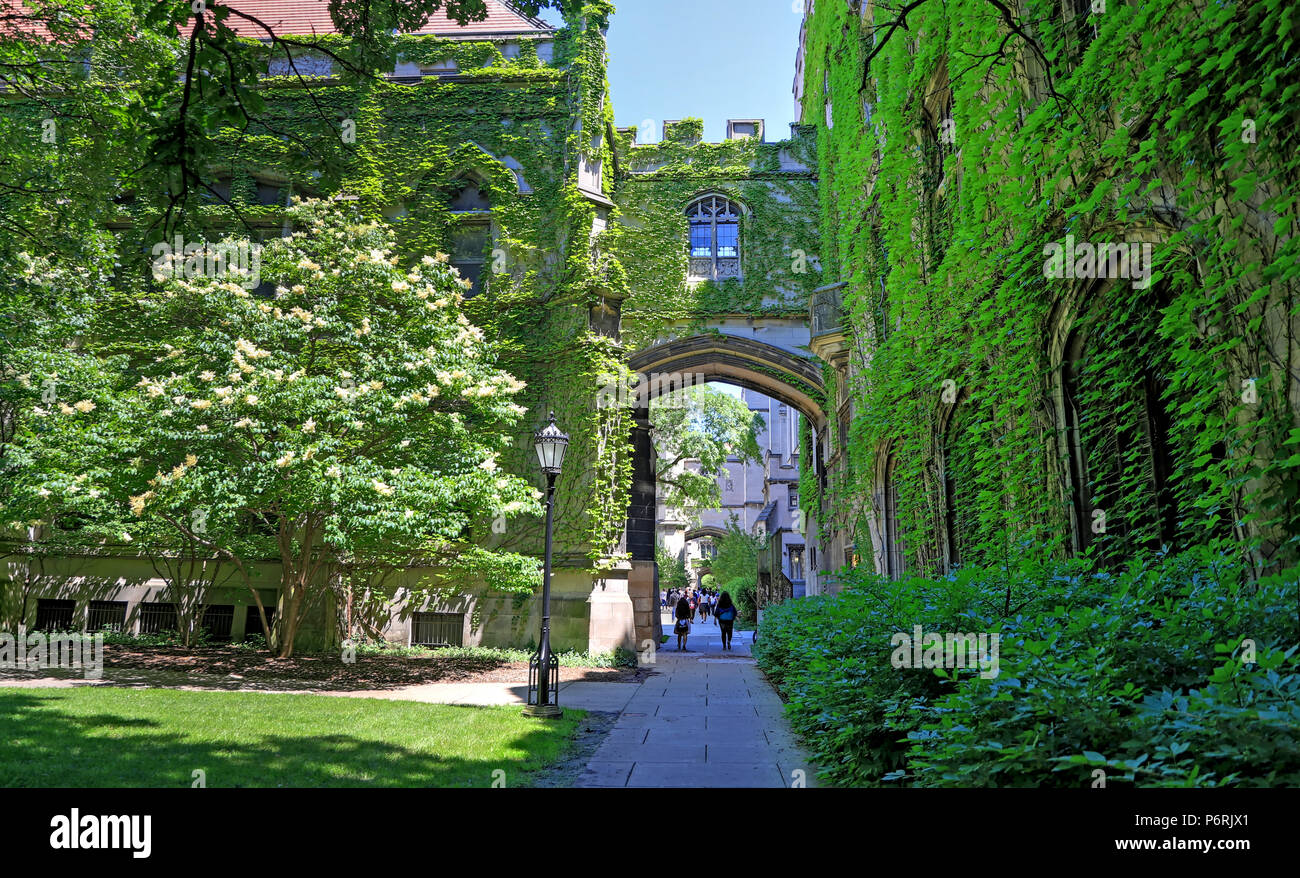 University chicago gothic building exterior hi-res stock photography ...