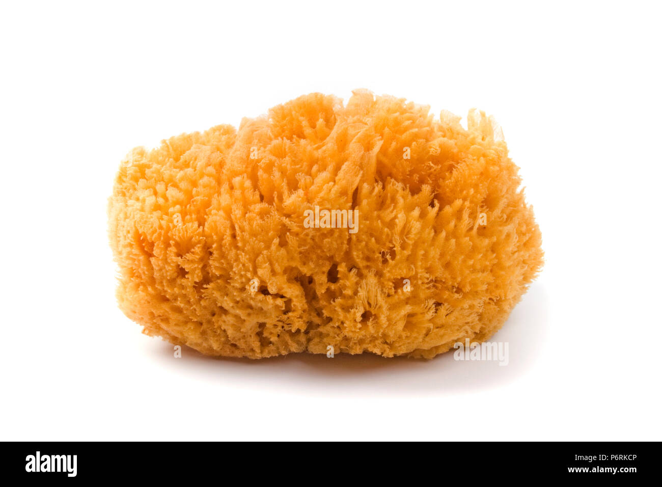natural sponge isolated on white background Stock Photo - Alamy