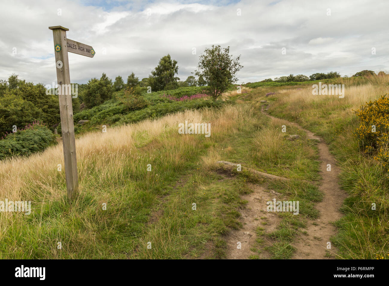 Dales way sign hi-res stock photography and images - Alamy