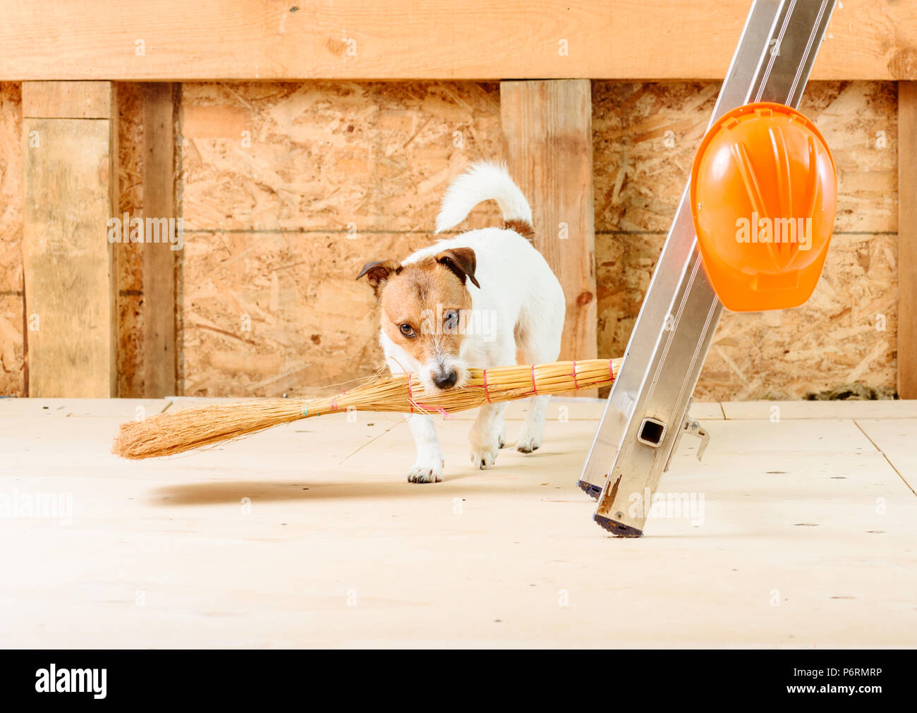 Housekeeper hi-res stock photography and images - Alamy