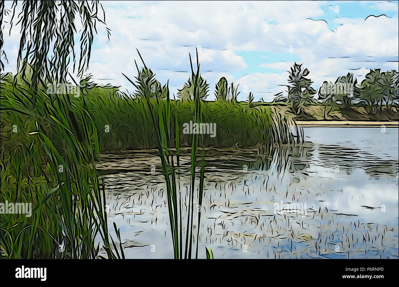Lake Maltaret in Arad Romania, beautiful scenery,Typha familia ...