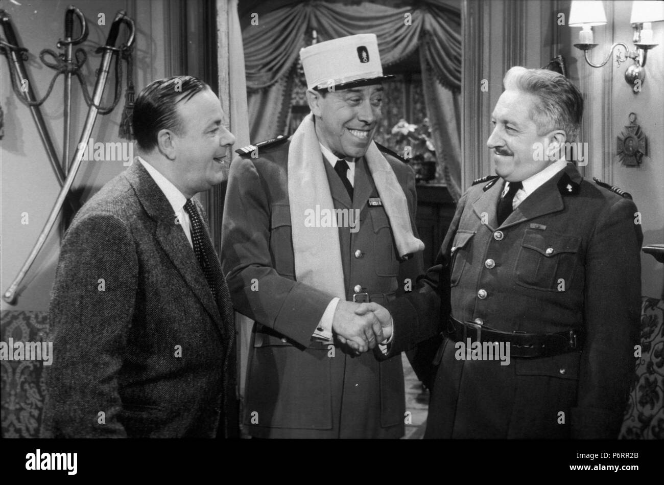 Senechal the magnificent hi-res stock photography and images - Alamy