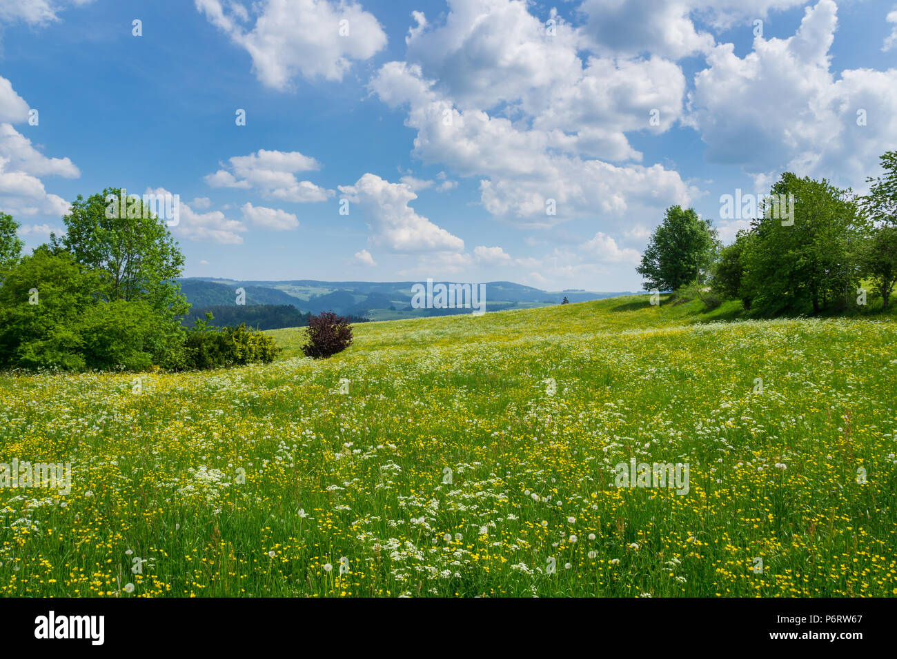 Lindenberg hi-res stock photography and images - Alamy