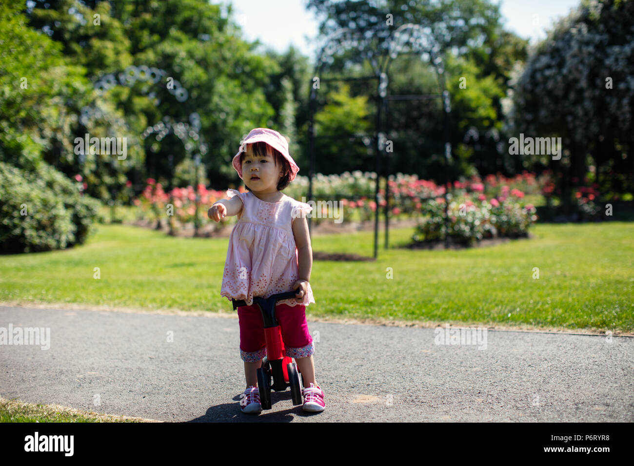 Baby girl play bicycle at outdoor playground Stock Photo - Alamy