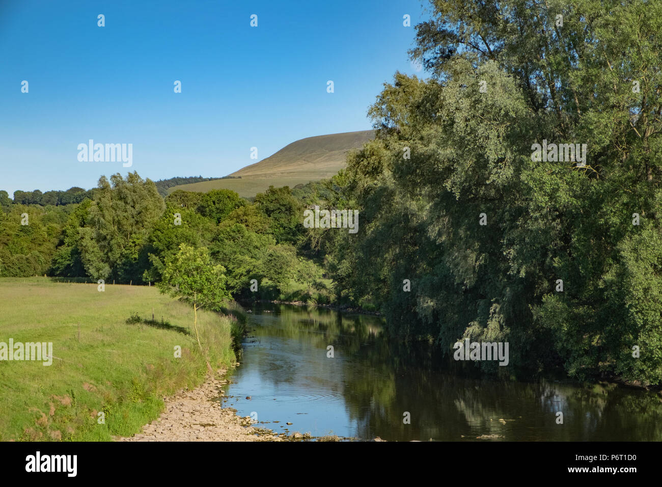 River Ribble near Chatburn with Pendle Hill in background Stock Photo ...
