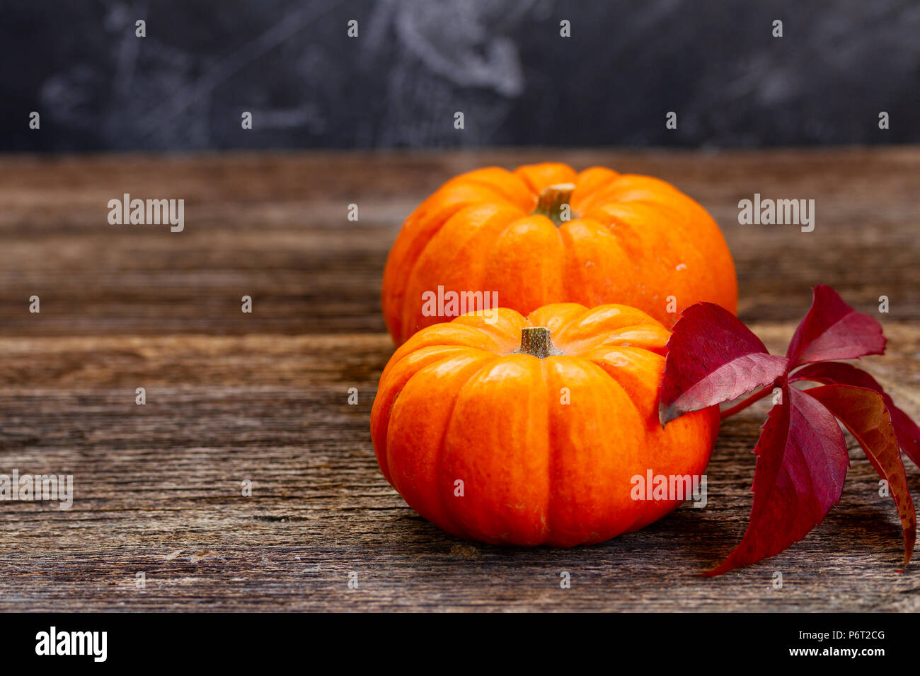 Fall harvest of pumpkins Stock Photo - Alamy