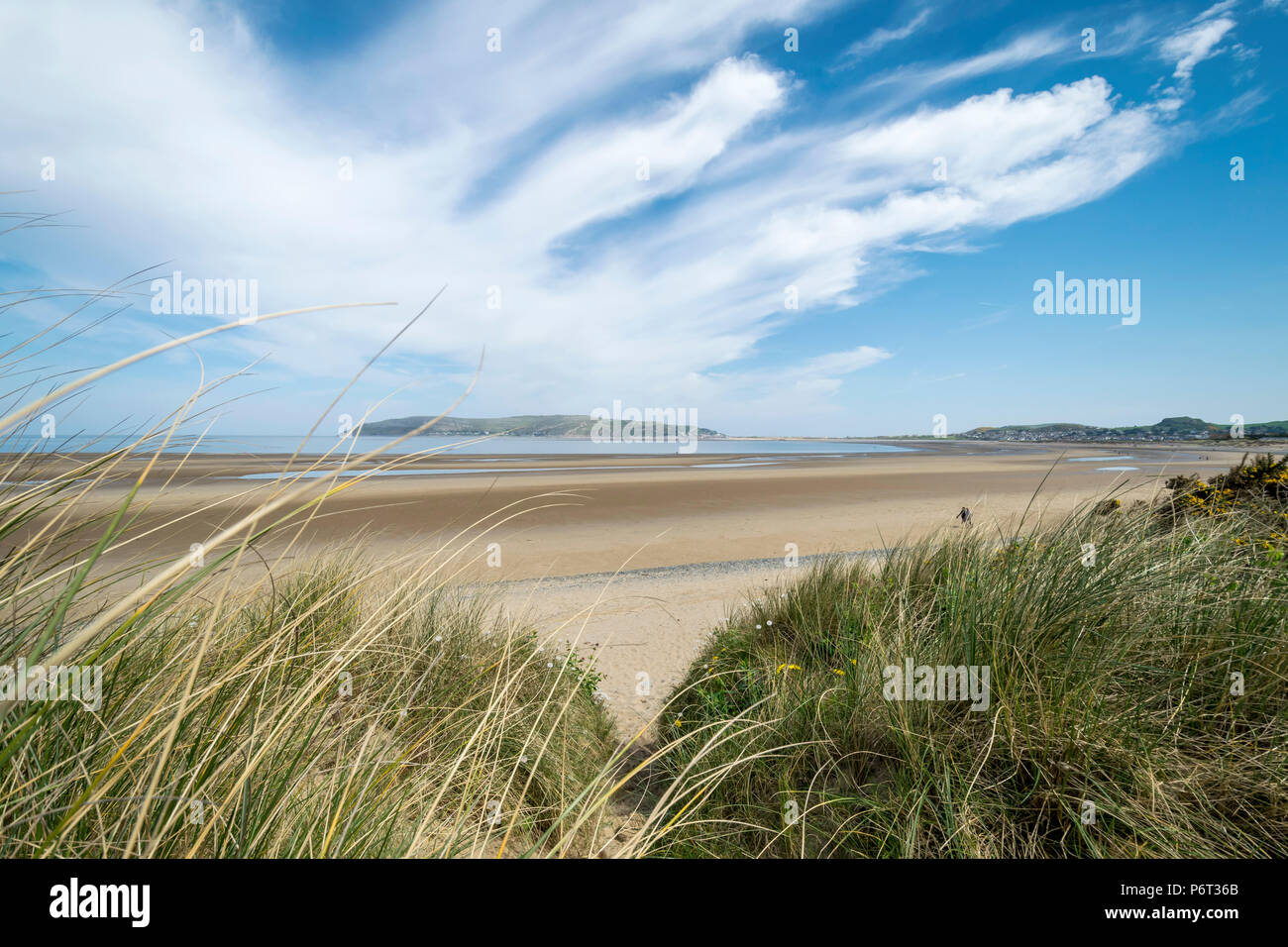 Morfa Conwy sand dunes and beach on the North Wales coast UK looking ...
