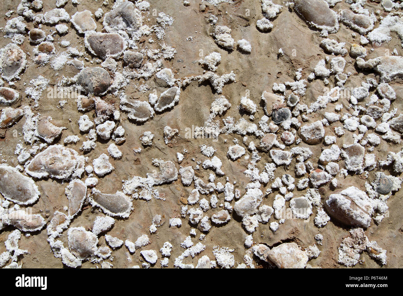 Encrustation hi-res stock photography and images - Alamy