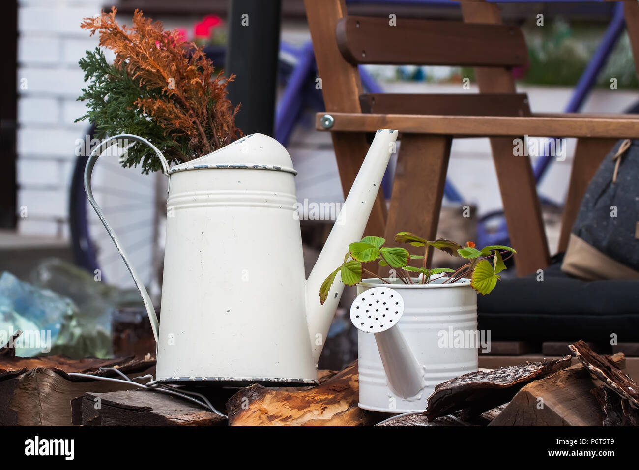 Old watering cans in the garden in the rustic-style Brings cosiness and ...