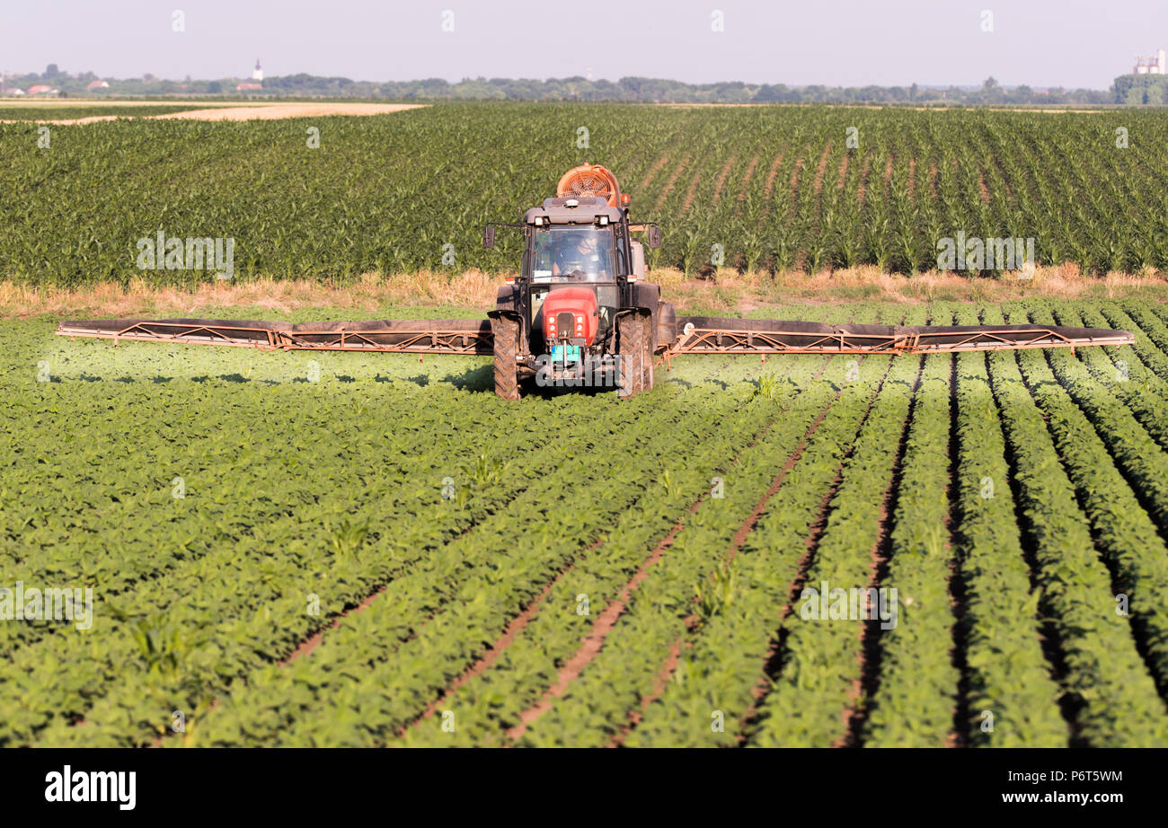 Tractor spraying pesticides on soybean field with sprayer at spring ...