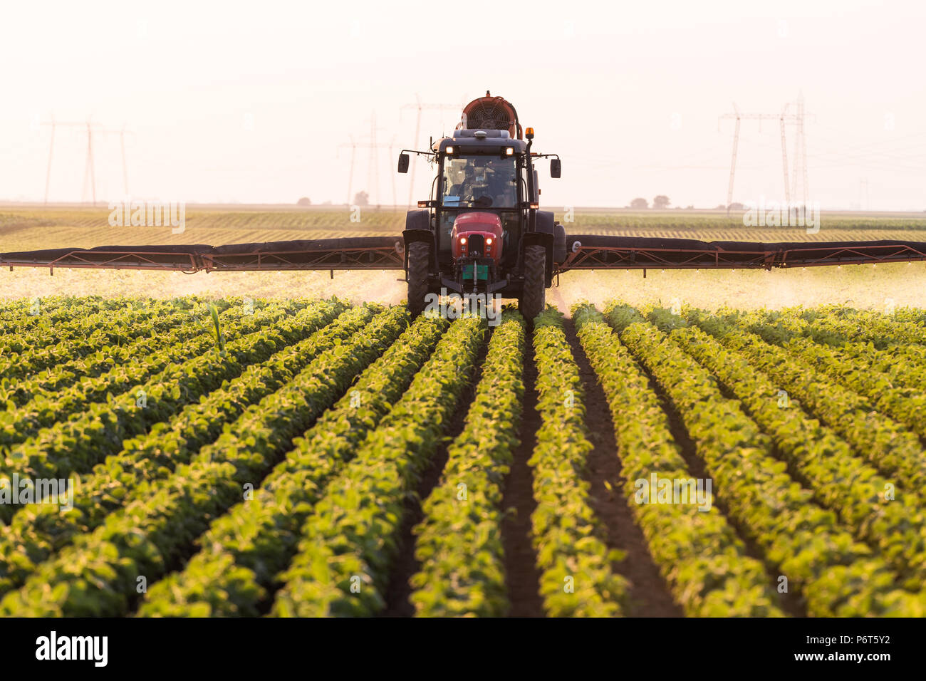 Tractor spraying pesticides on soybean field with sprayer at spring ...