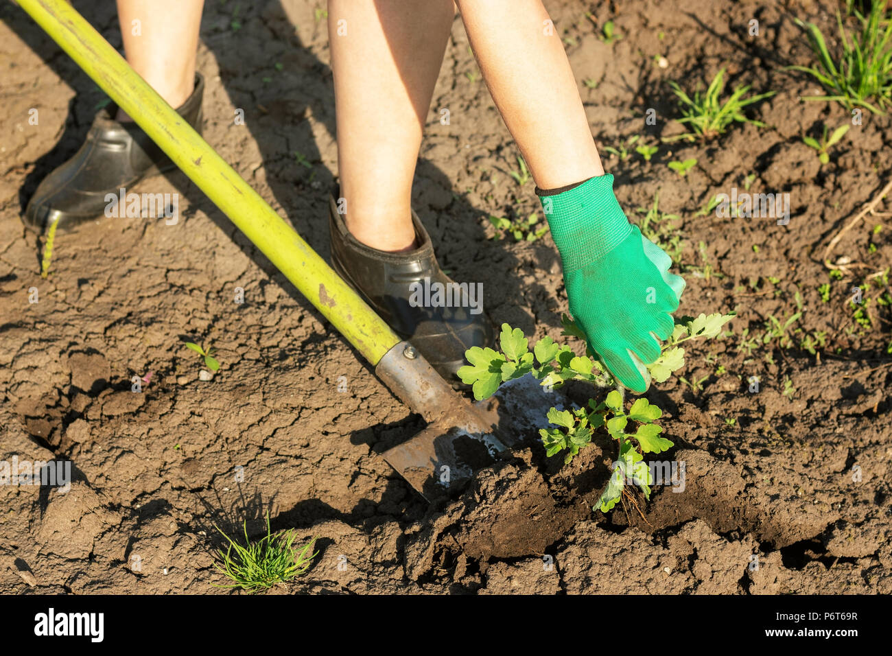 Fragment of woman's legs digging soil with shovel close up view Stock ...