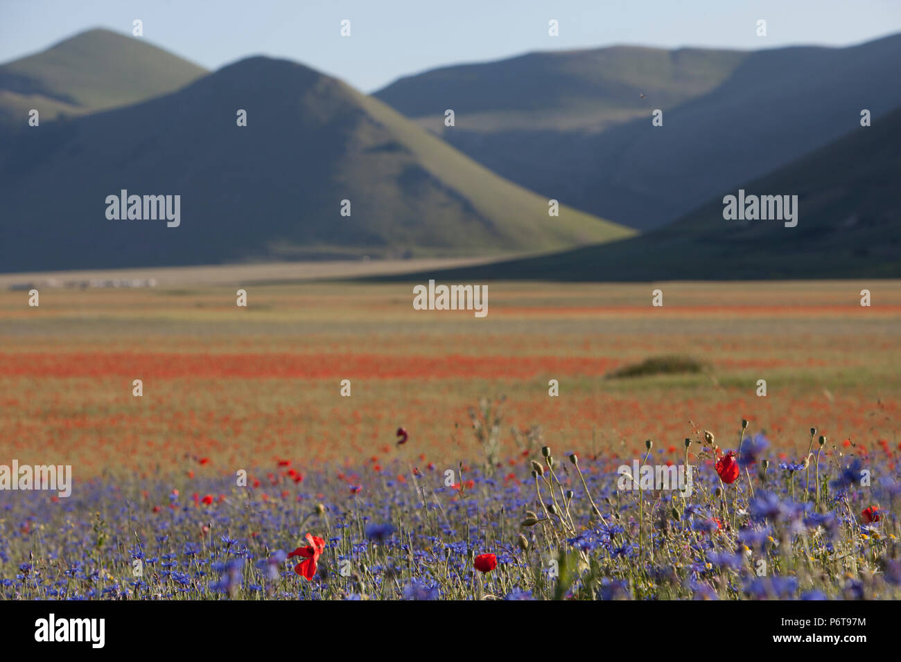 Umbrian landscape hi-res stock photography and images - Alamy