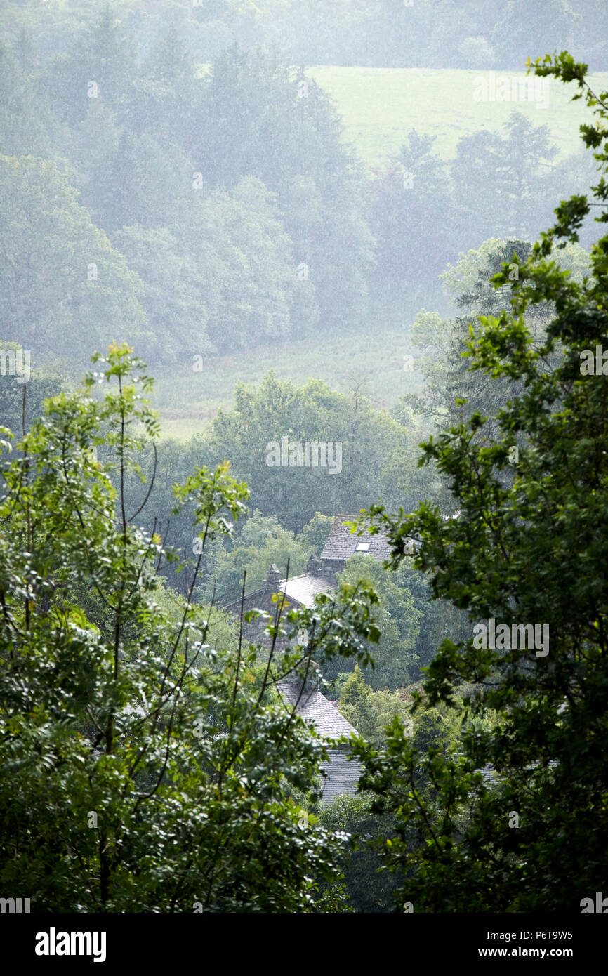 heavy rain in woodland lake district england uk Stock Photo - Alamy