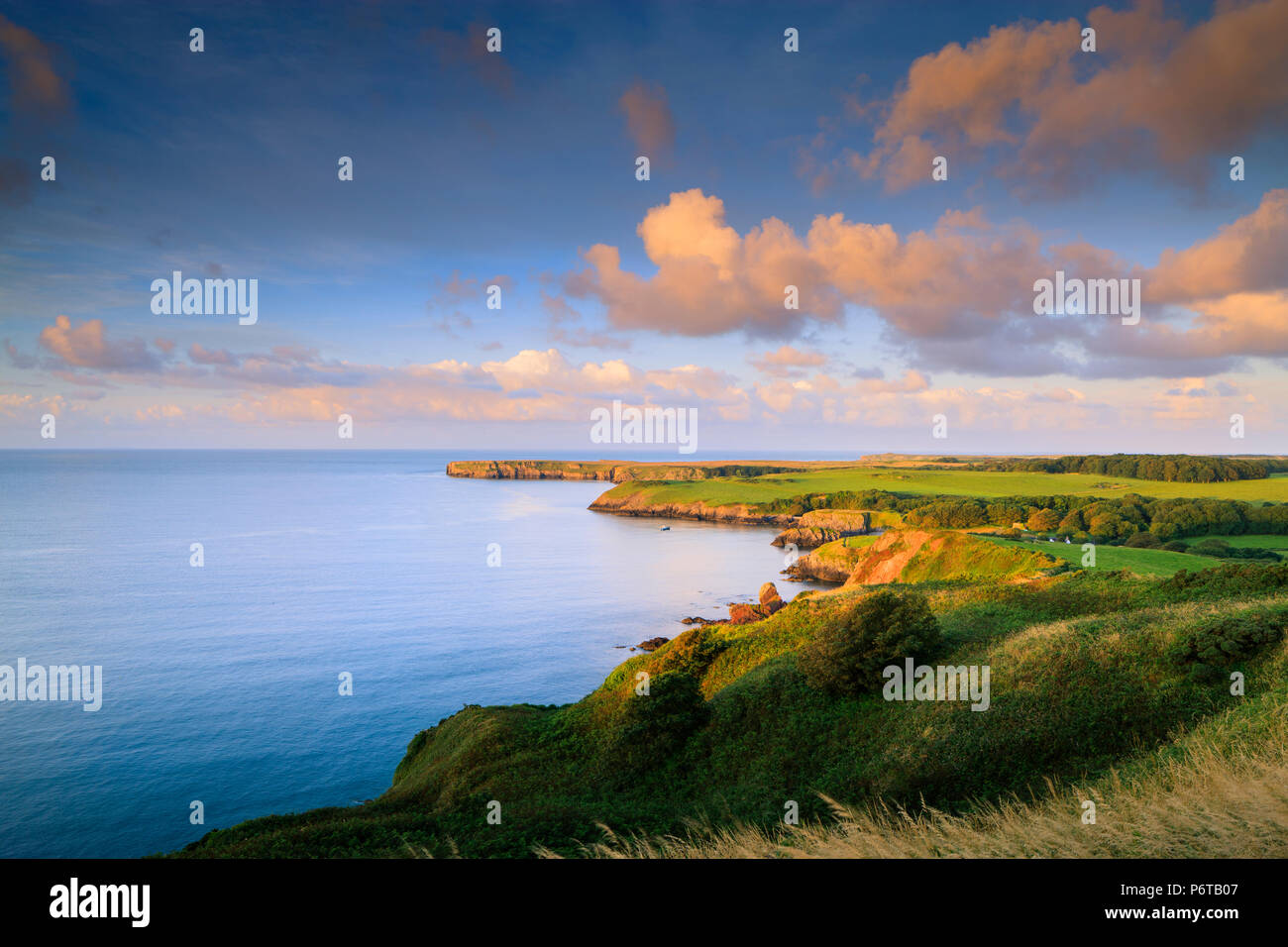Stackpole Head Barafundle Bay Pembroke Pembrokeshire Wales Stock Photo ...