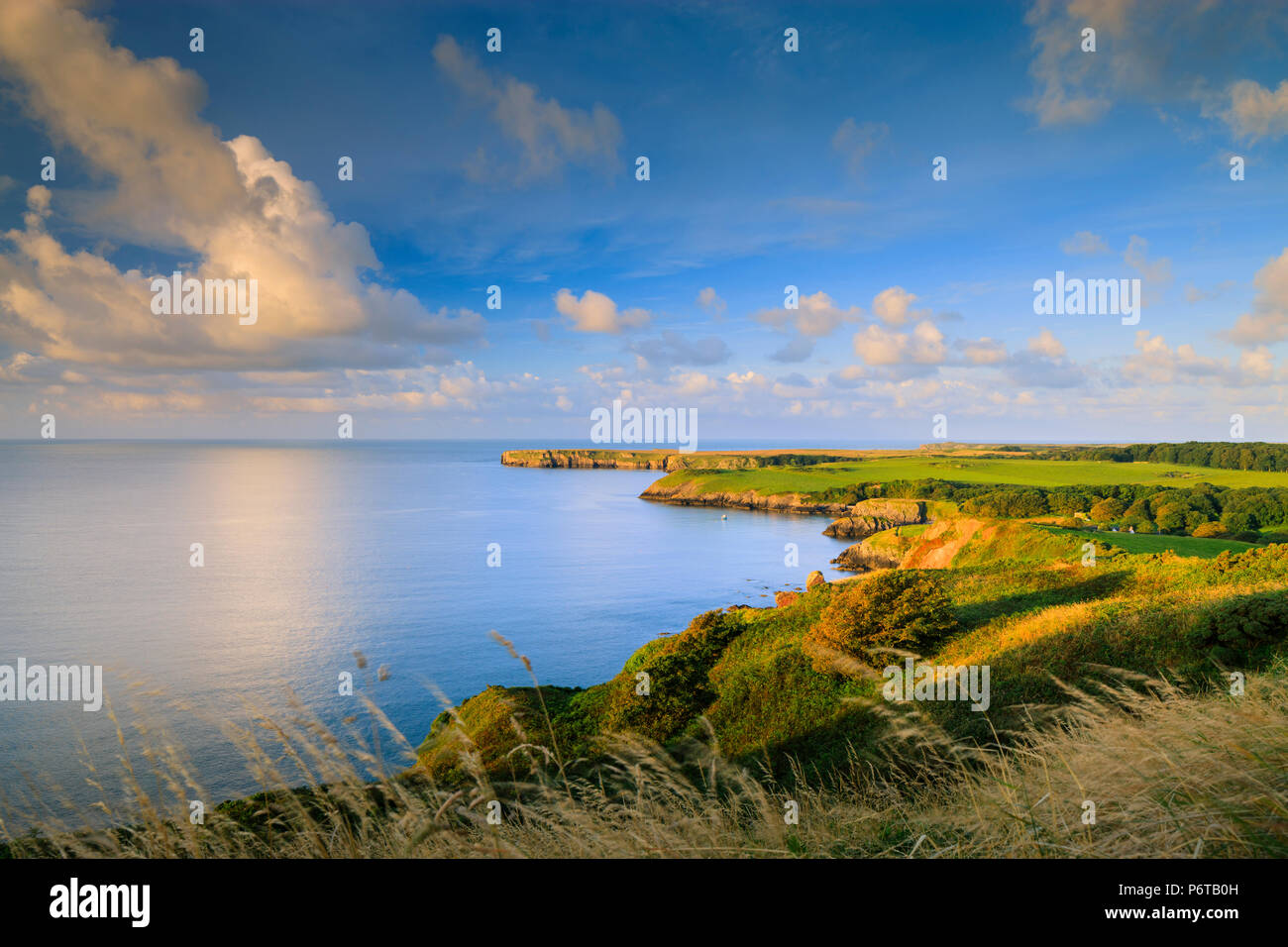 Stackpole Head Barafundle Bay Pembroke Pembrokeshire Wales Stock Photo ...