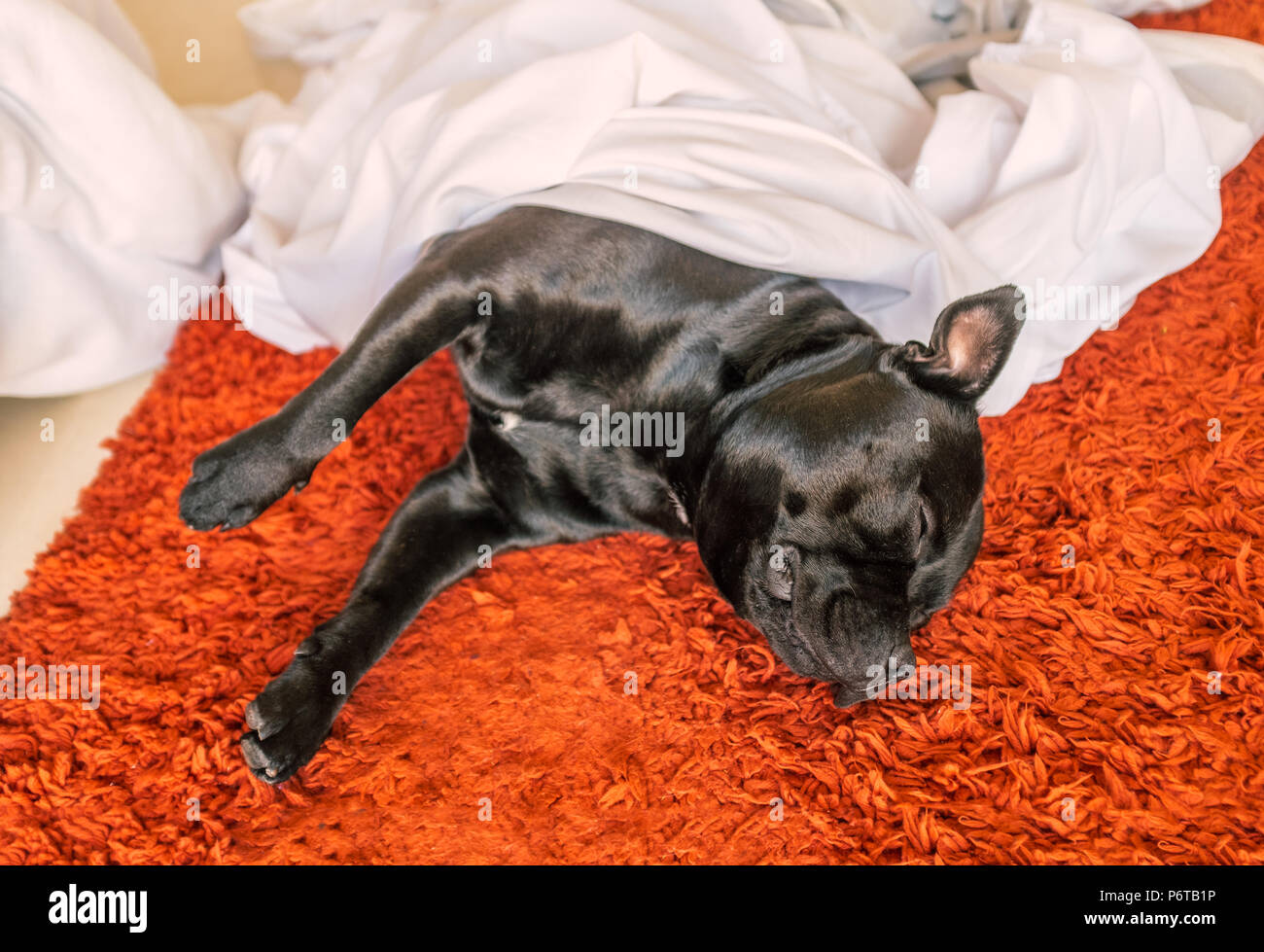 Duvet cover hi-res stock photography and images - Alamy