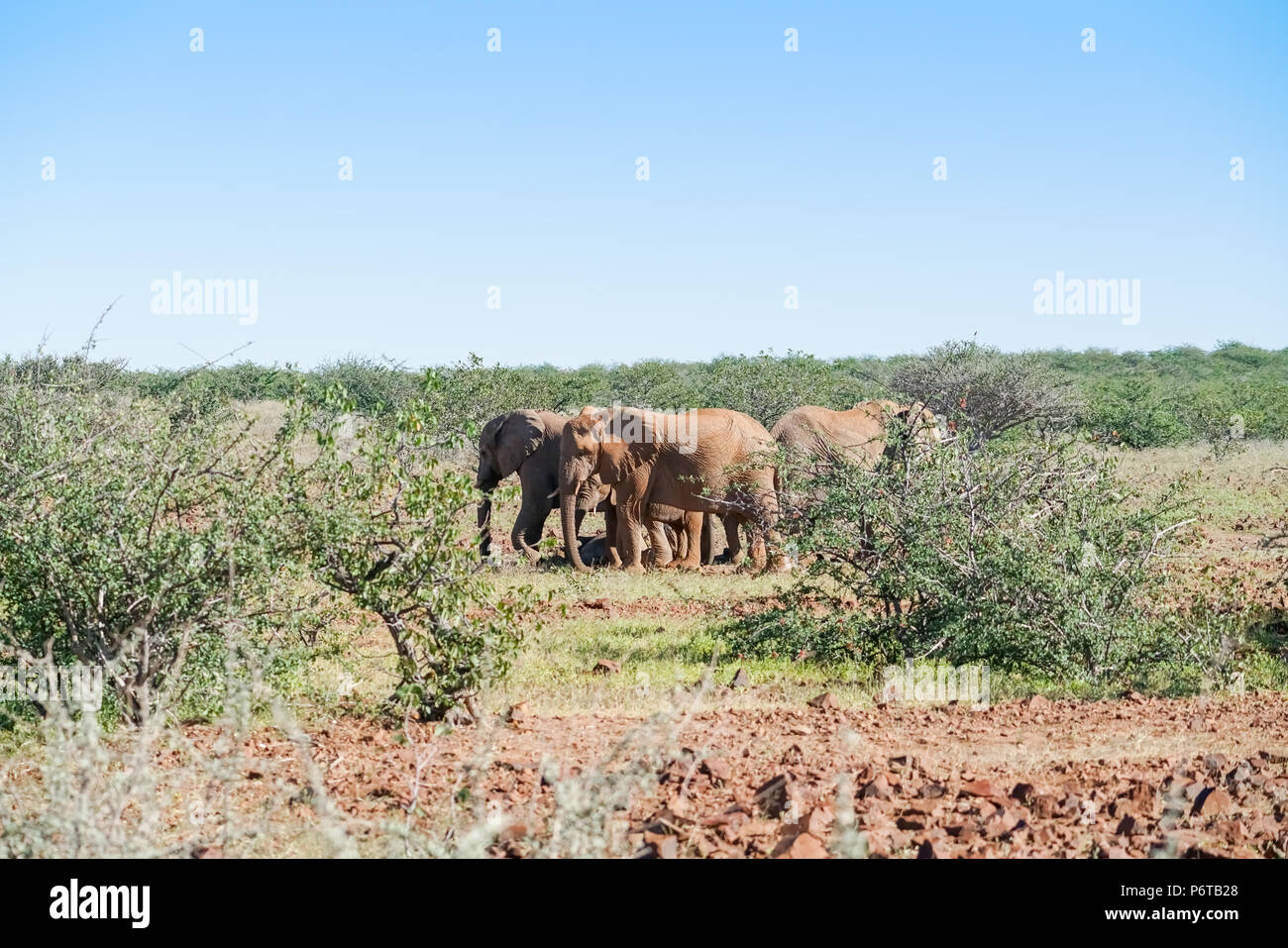 Torra conservancy hi-res stock photography and images - Alamy