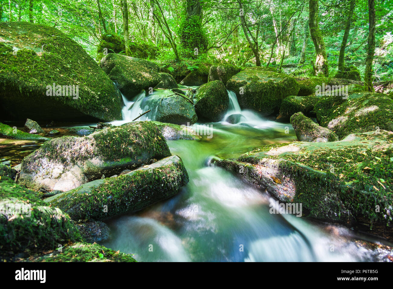 view of kennall vale nature reserve site of the old powder mills in ...