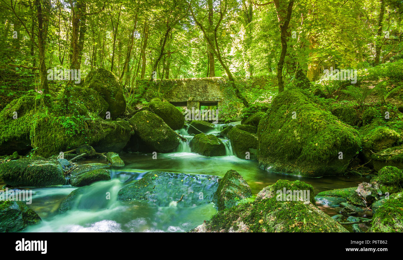 view of kennall vale nature reserve site of the old powder mills in ...
